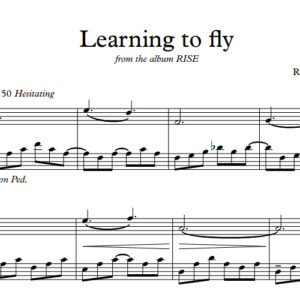 Learning To Fly sheet music - Ron Adelaar Music